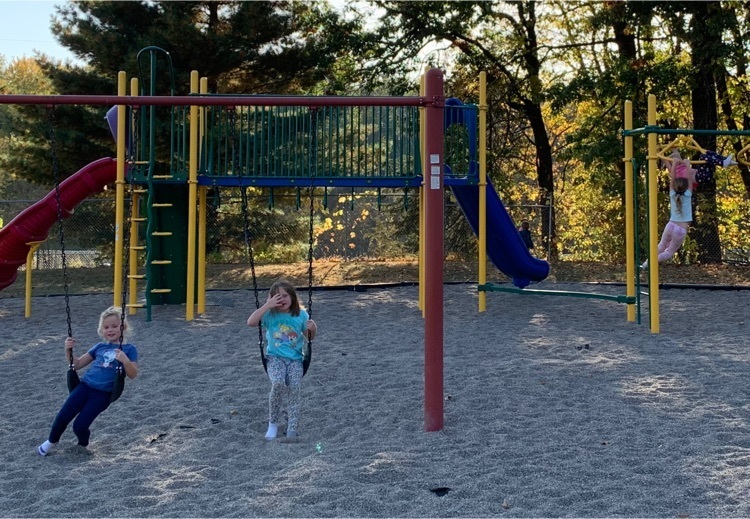 Live Feed | Alma Area Schools