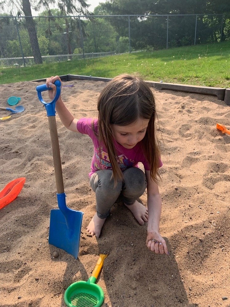 Live Feed | Alma Area Schools